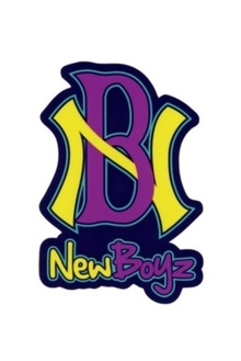 New Boyz Tour Announcements 2023 & 2024, Notifications, Dates, Concerts ...
