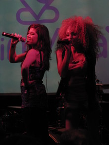 Mini Viva Tour Announcements 2023 & 2024, Notifications, Dates ...