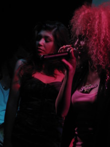 Mini Viva Tour Announcements 2023 & 2024, Notifications, Dates ...