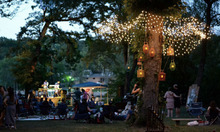 Milo Tour Announcements 2024 & 2025, Notifications, Dates, Concerts ...