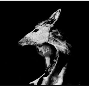 RÊVE Tickets, Tour Dates & Concerts 2025 & 2024 – Songkick